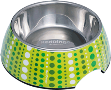 Download Red Dingo Dog Bowl Lotzadotz Lime Green 175 Ml - Red Dog Bowl ...