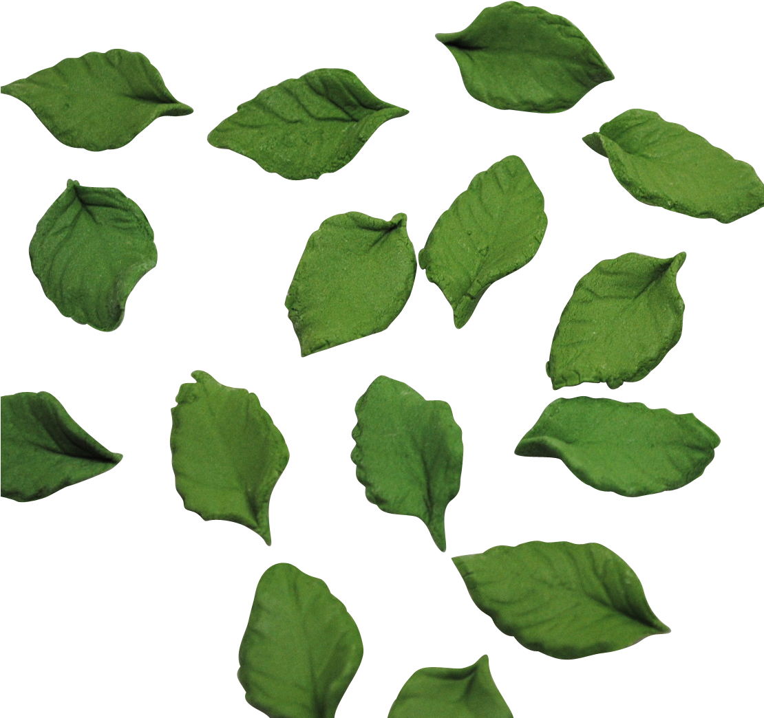 Download Mini Rose Leaves PNG Image with No Background - PNGkey.com