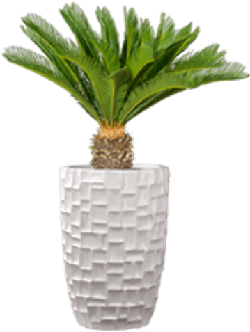 Download Fiber Glass Planters Crystal White - Fiberglass PNG Image with ...