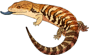Download Pixel Lizard - Blue Tongued Skink Png PNG Image with No ...