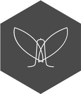 Waxing Kara Mascott Bee News - Emblem - Free Transparent PNG Download ...