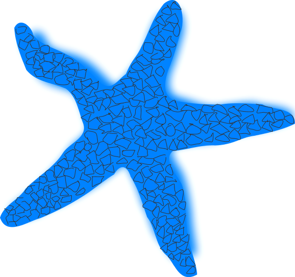 Download Starfish Vector Transparent - Star Fish Top View PNG Image ...