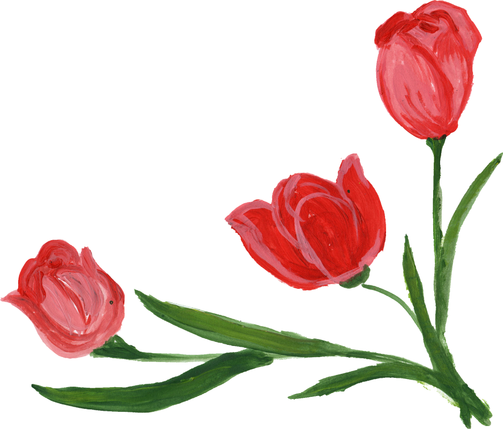 Download Png File Size - Red Flowers In Corner PNG Image with No ...
