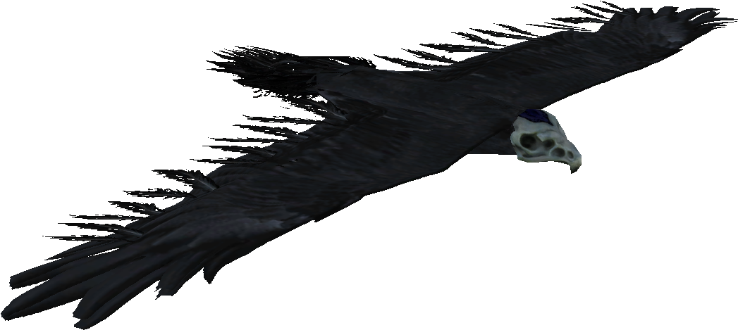 Download Skyrim Bone Hawk PNG Image with No Background - PNGkey.com