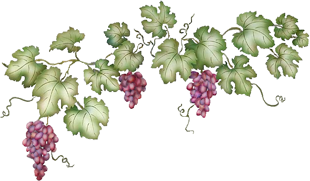 Download Horizontal Vine Horizontal Vine Png - Grape Vine Transparent ...