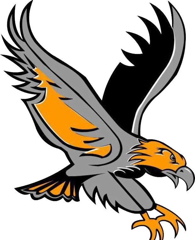 Download River Hawk Logo - Hawk Logo PNG Image with No Background ...