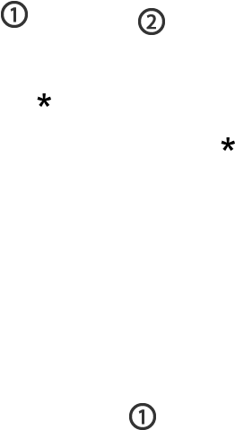 Download Because The Horse Is Very Lean, The Mesojejunum Is - Circle ...