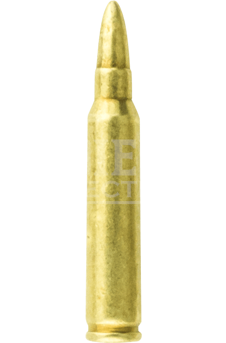 Download Replica M16a1 Assault Rifle Bullets - Assault Rifle Bullet ...