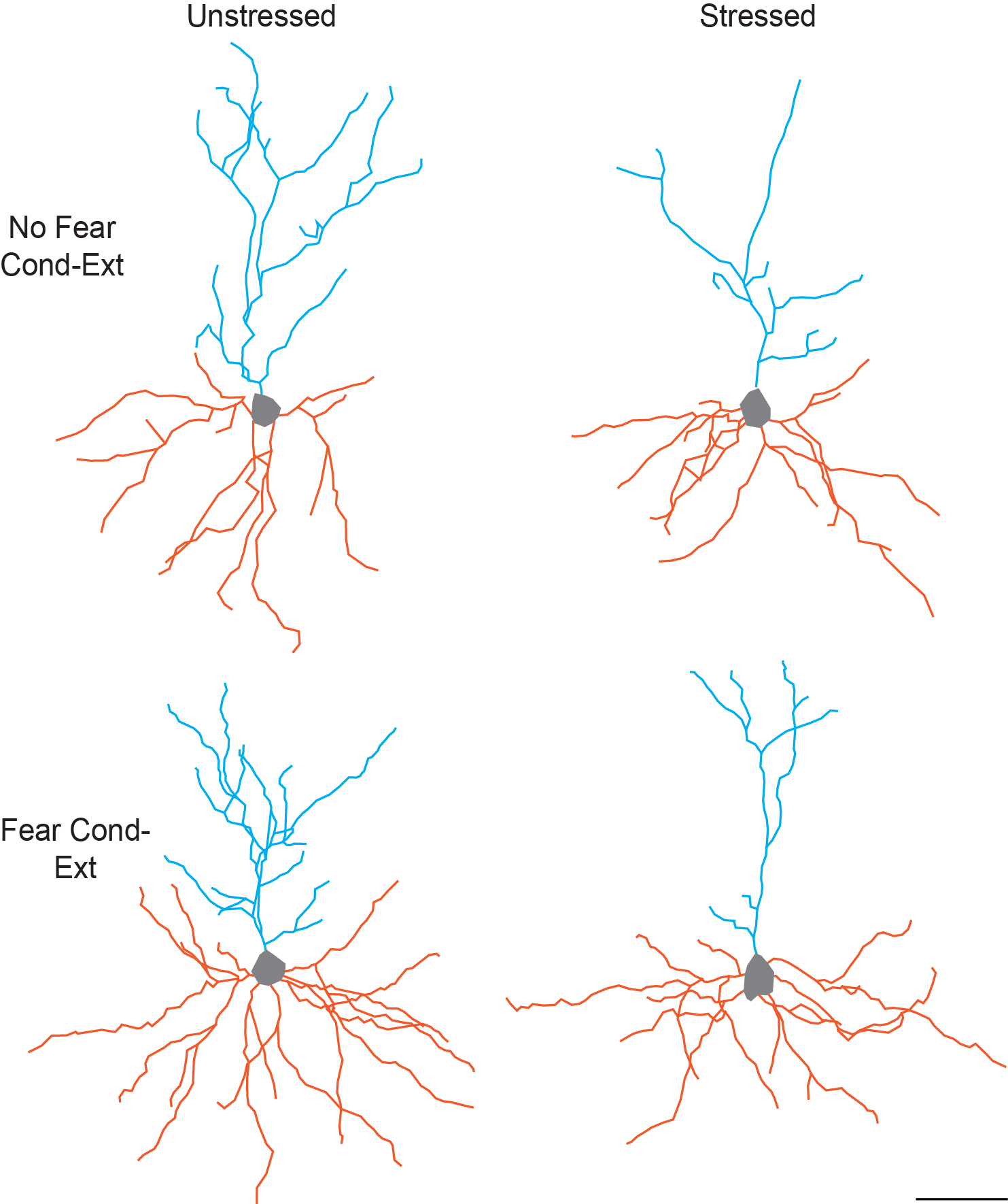 Download This Figure Illustrates The Separate And Combined Effects ...