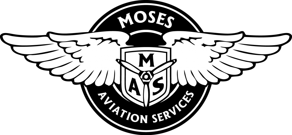 Download Cropped Logo With White Backing - Moses Logo PNG Image with No ...
