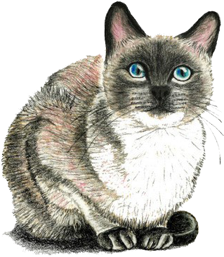 Download Transparent Tumblr Sidebar PNG Image with No Background ...