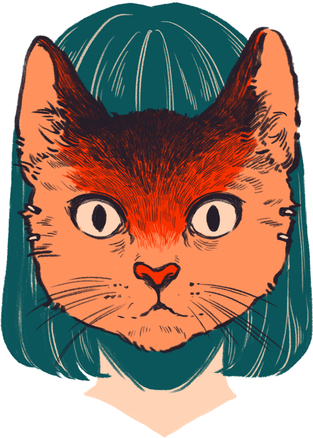 Transparent Cat Drawing Tumblr
