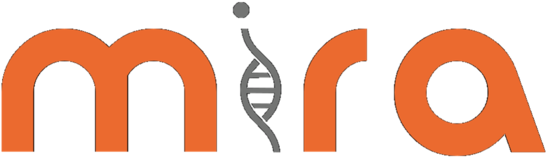 Download Mira - Graphic Design PNG Image with No Background - PNGkey.com