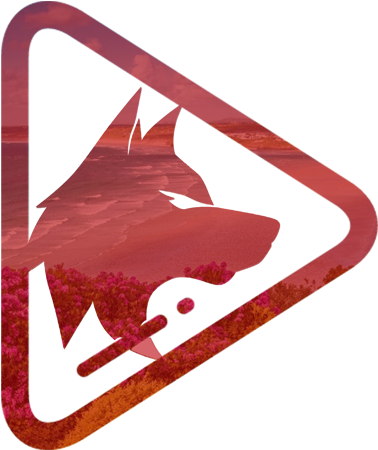 Radio Wolf - Sign - Free Transparent PNG Download - PNGkey