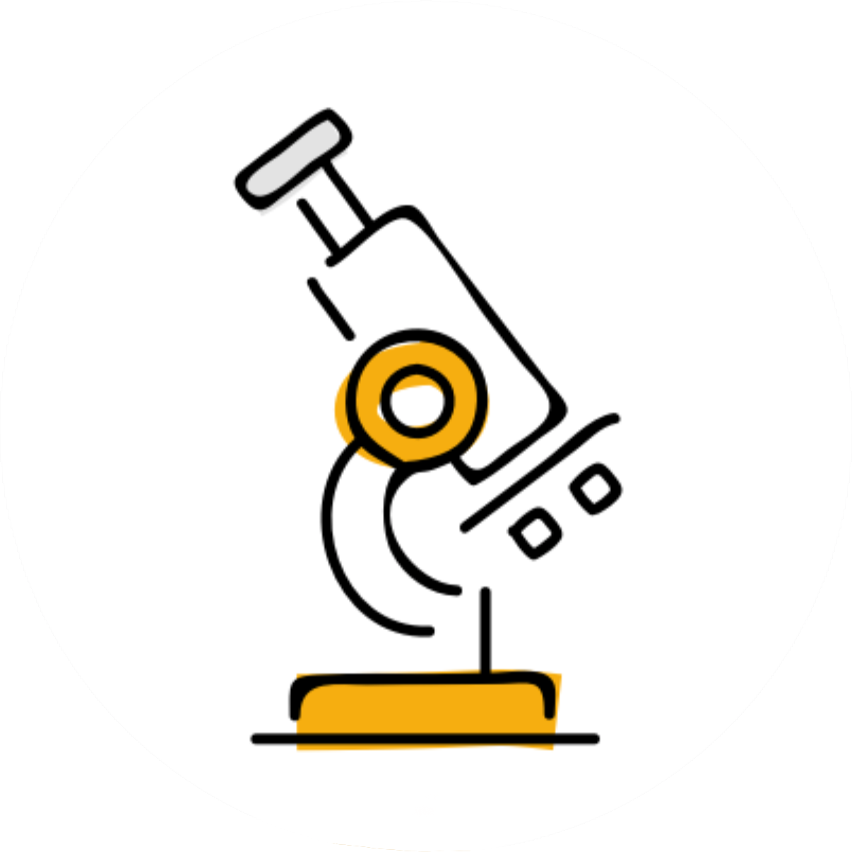 Download Detect - Icon PNG Image with No Background - PNGkey.com