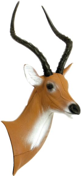 Download African Impala Head - Impala Archery Target PNG Image with No ...