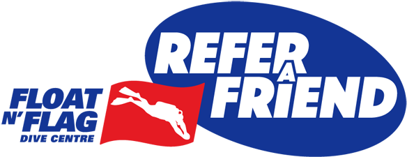 Download Float N' Flag Refer A Friend Program - Ducati PNG Image with ...