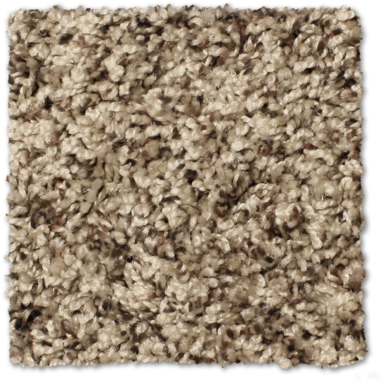 Download Cloverfield Ii Wild Oats - Carpet PNG Image with No Background ...