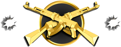 Download Mge Cs - Go Account - Master Guardian Elite Png PNG Image with ...