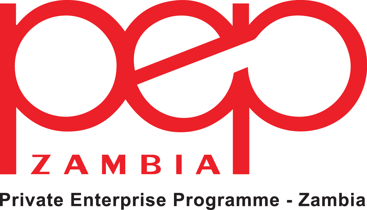 Download Helping Zambian Businesses To Flourish - Pep Zambia PNG Image ...