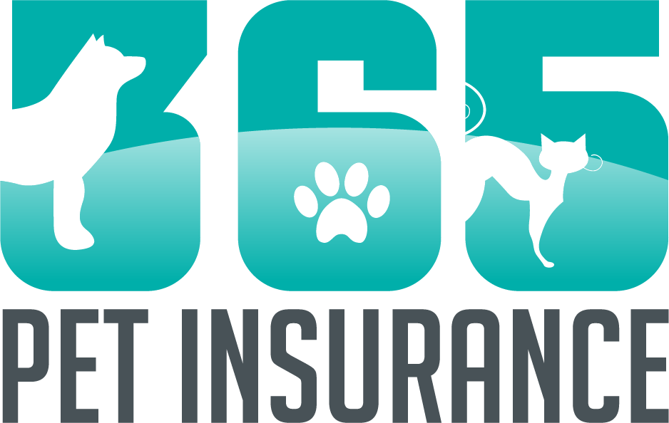 Download Be Kind To Dogs PNG Image with No Background - PNGkey.com