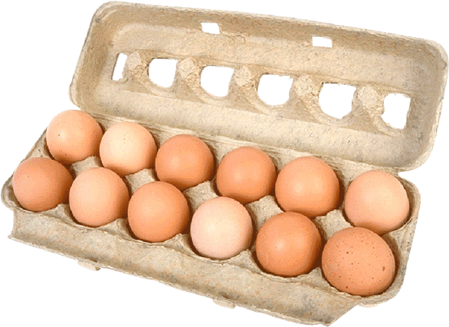 Download Carton Meaning In English PNG Image with No Background ...