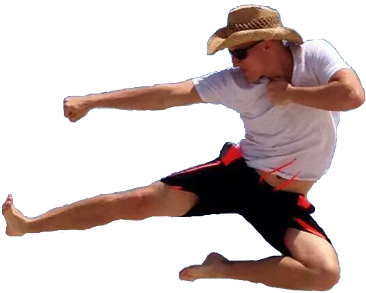 Download Twitter - - Flying Kick Transparent PNG Image with No ...