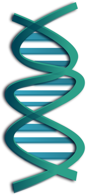 Download Dna Clip Art PNG Image with No Background - PNGkey.com