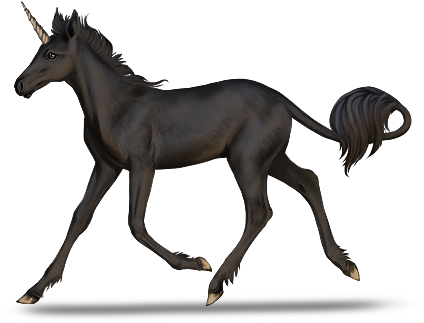 Download Baby Unicorn - Breyer 1:9 Traditional Series Zenyatta's First ...