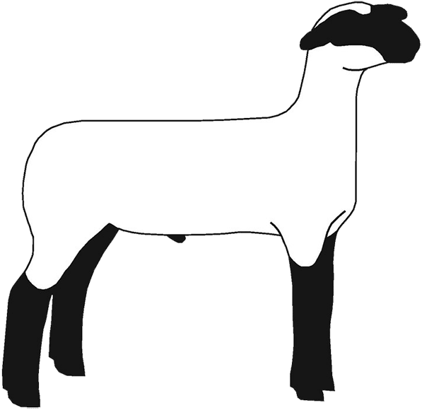 Sheep Png Images Transparent Free Download - Show Sheep Silhouette ...