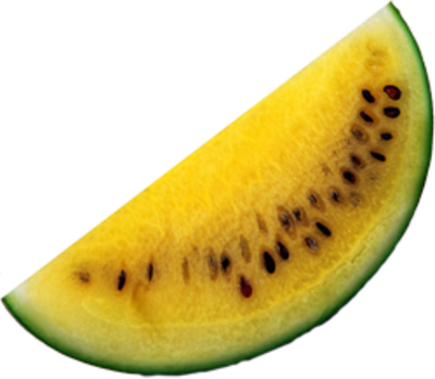 Download Watermelon Psd - Yellow Watermelon Vector Png PNG Image with ...