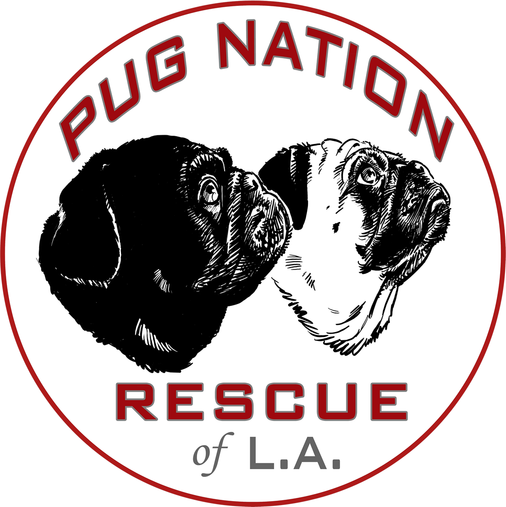 Download Pnla Logo Final - Pug PNG Image with No Background - PNGkey.com
