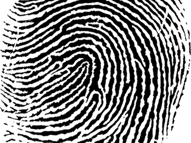 Fingerprint Png Transparent Images - Fingerprint - Free Transparent PNG ...