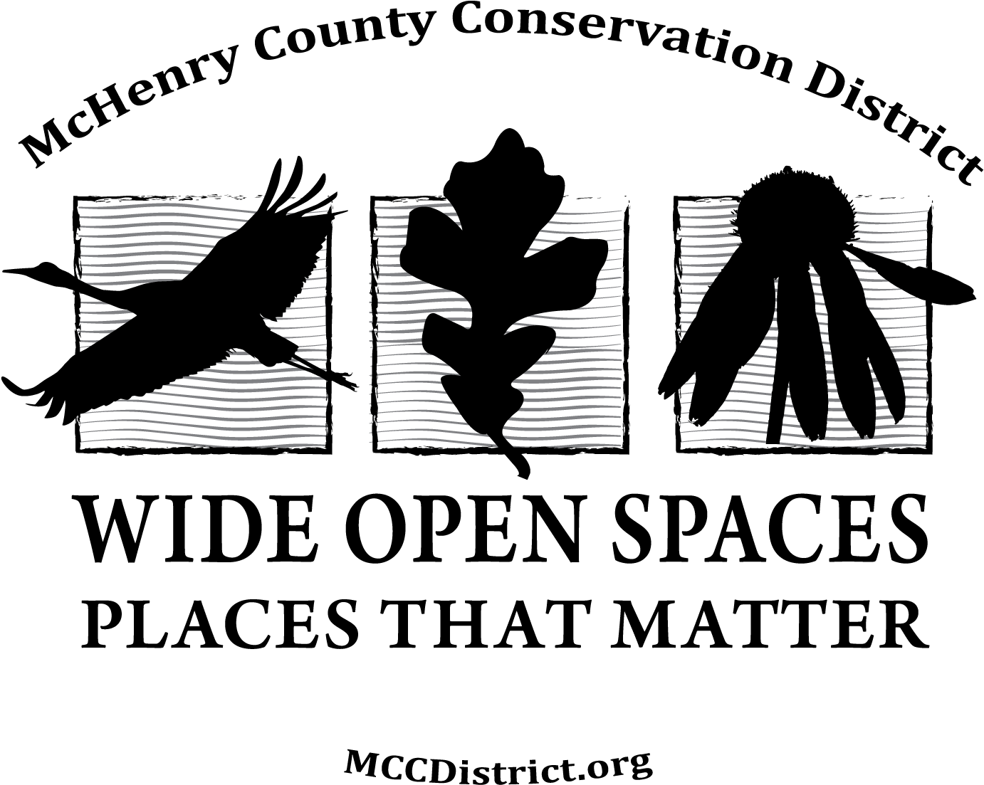 Download Final Sticker-png - Illustration PNG Image with No Background ...