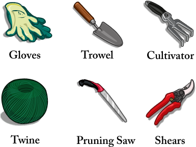 Garden Hand Tools Names And Pictures | Fasci Garden