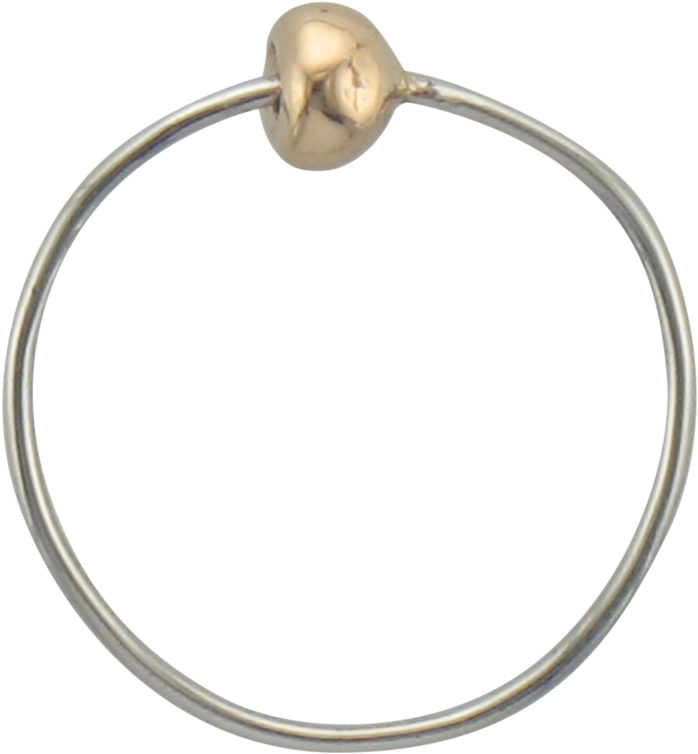 Download Frances Body Hoop Ring [platinum] PNG Image with No Background ...