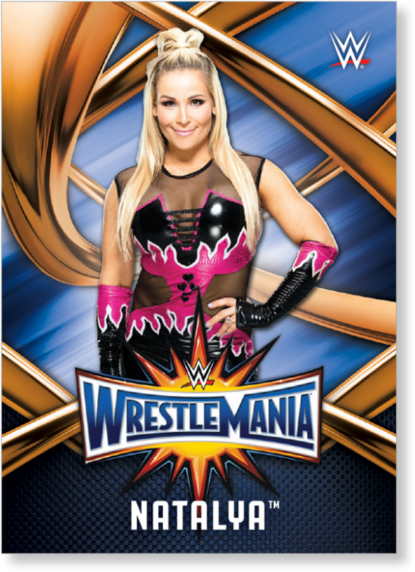 Download Close Zoom - Official Wwe The Shows Hard Back Case PNG Image ...