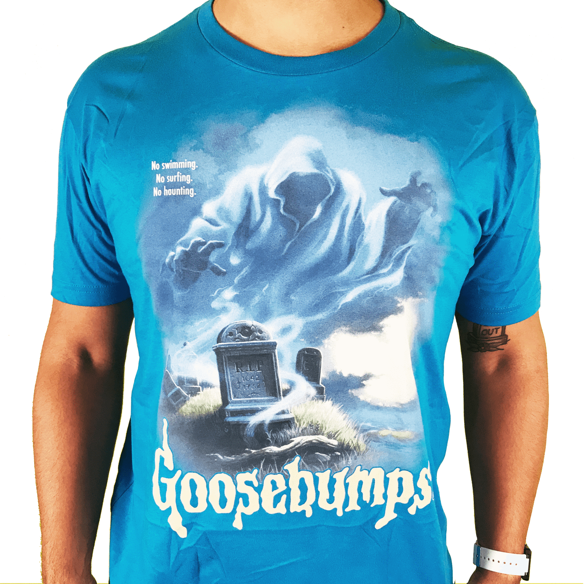 Download Goosebumps® Ghost Beach Replica Book Box Set - Goosebumps ...