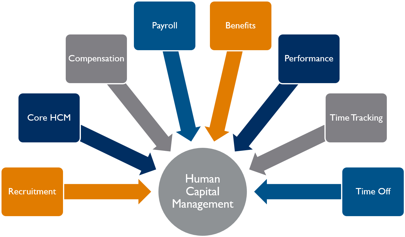 Download Info Graphic Image Shows Applications Of Workday Hcm ...