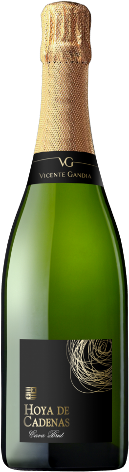 Download Bottle - Moet 2000 Grand Vintage PNG Image with No Background ...