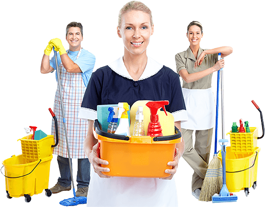 Download Whole Home Cleaning - House Cleaner PNG Image with No ...