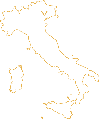 Download You Can Even Use This Form - Map Of Italy PNG Image with No ...