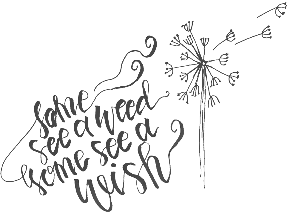 Download Wish - Portable Network Graphics PNG Image with No Background ...