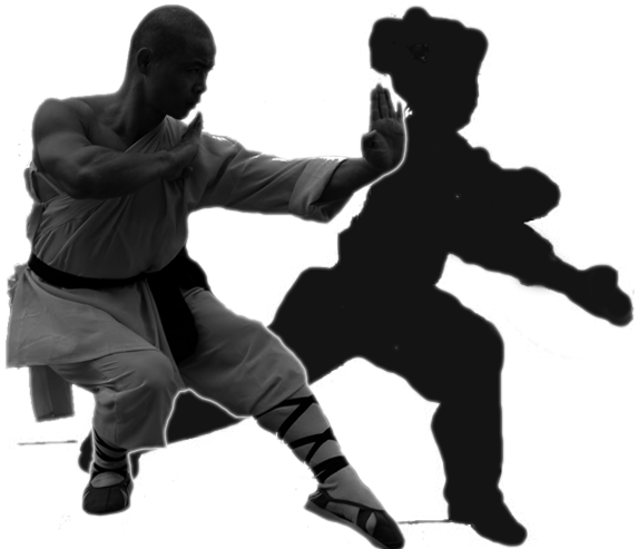 Download Chinese Kungfu Wushu 中国武术 PNG Image with No Background ...