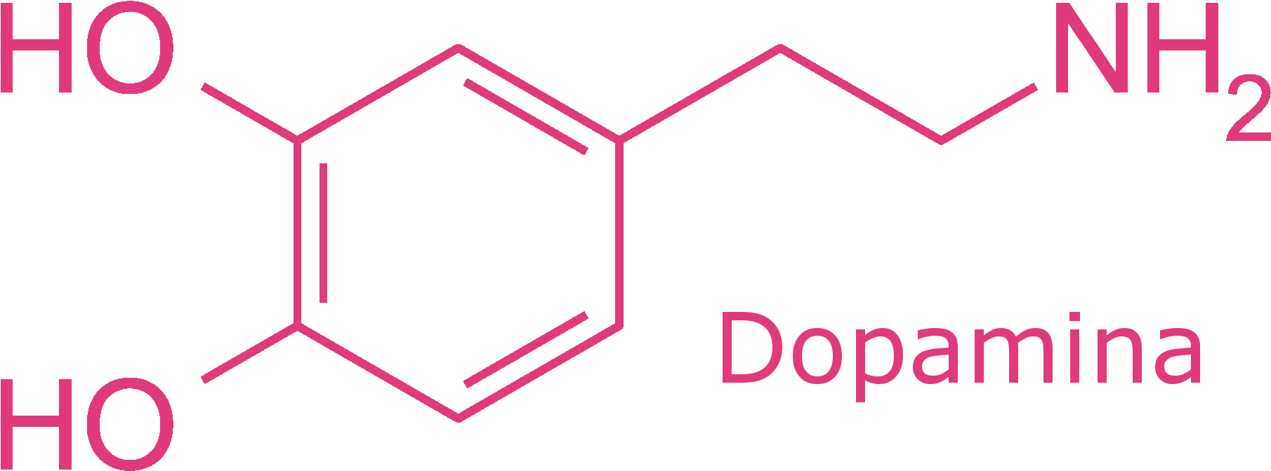 Molecula De La Dopamina - Free Transparent PNG Download - PNGkey