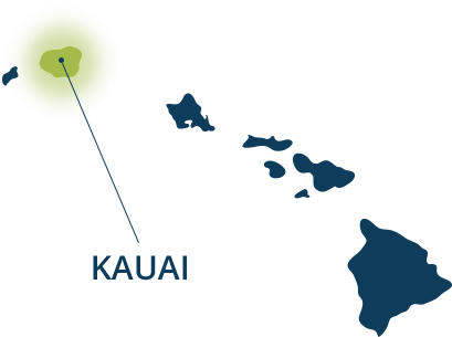 Map Of Hawaii - Hawaiian Islands - Free Transparent PNG Download - PNGkey