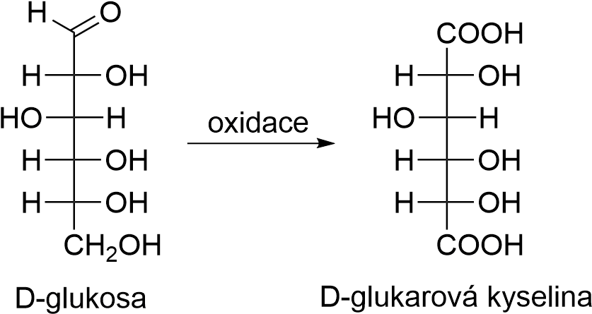 Download Glukarova Kyselina - Sigma-aldrich D-sorbitol,contains 1kg,cas ...