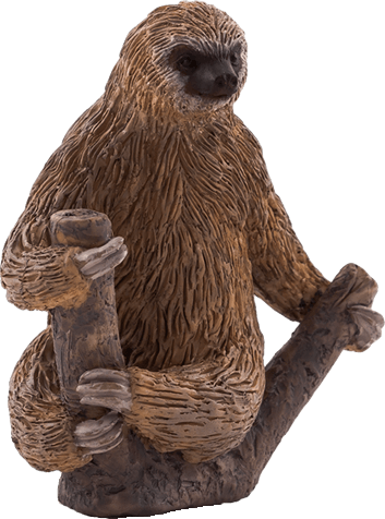 Download Did - Animal Planet - Two Toed Sloth PNG Image with No ...