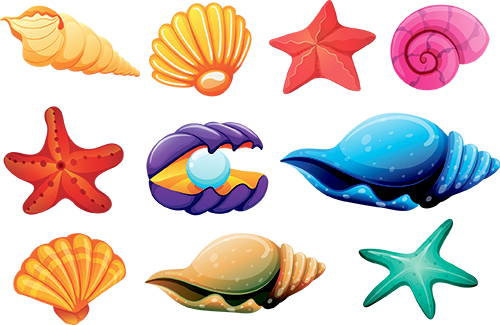 Download She Sells Seashells - Colorful Sea Shells Png PNG Image with ...