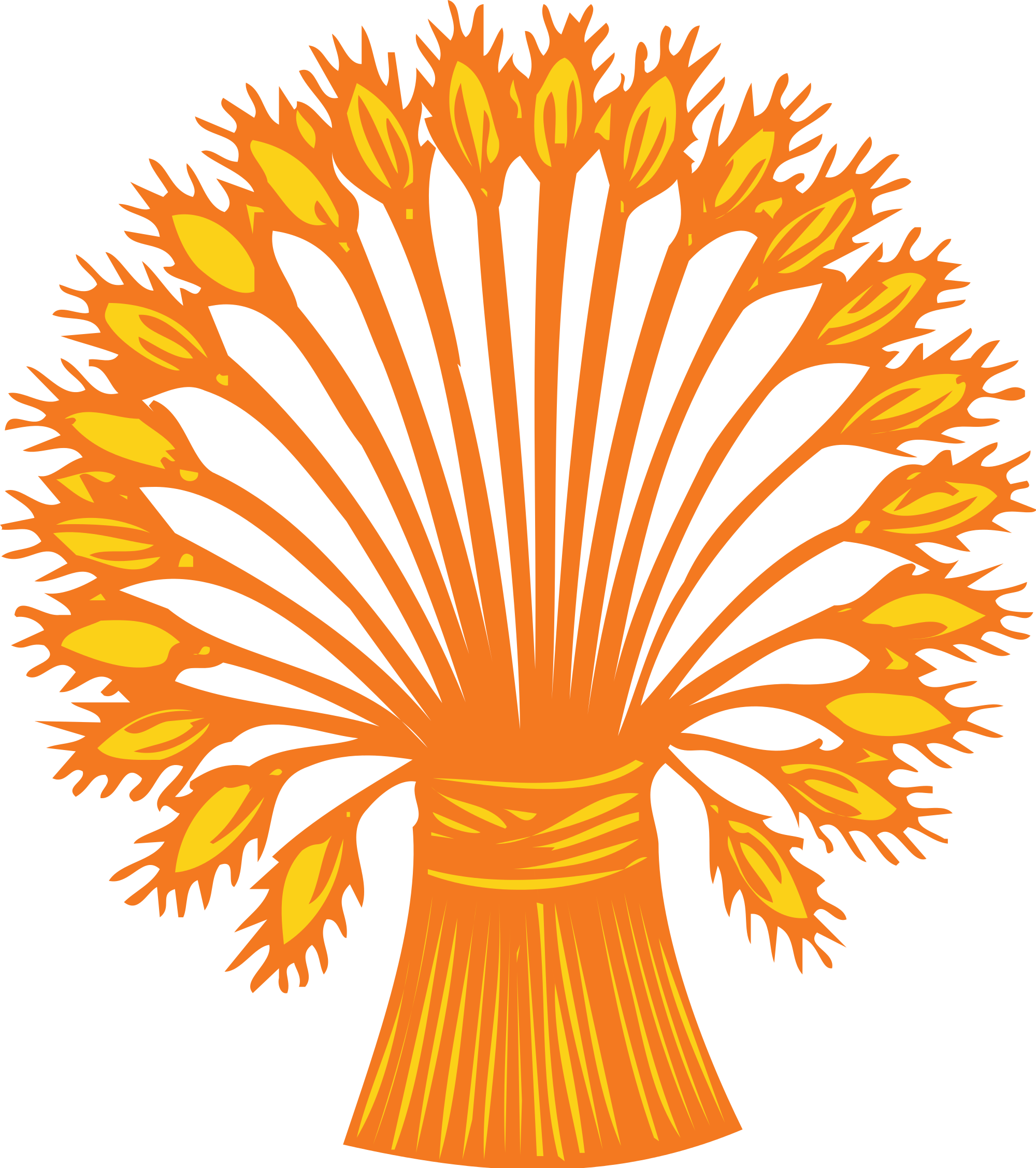 Download Open - Raceface Cinch Chain Ring PNG Image with No Background ...